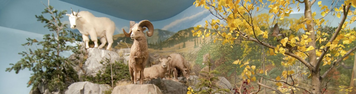 Welcome to Central Montana | Central Montana Tourism Information