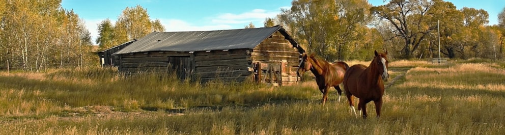 The Cowboy Ride - Central Montana